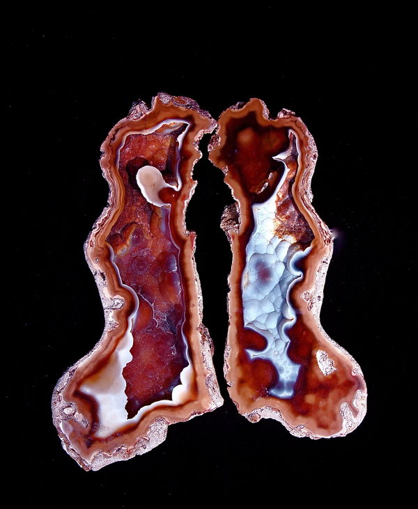 natures art #17: Someone wanted to see a neat fossil pic, well this is ...