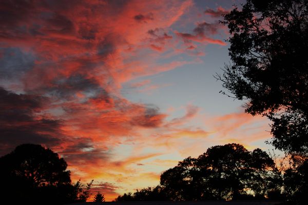 Happy evening sunsets from Florida: For Miss Tilde531 On the way to the ...