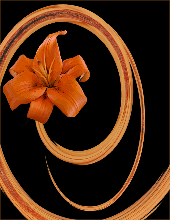 what do you think? i love shooting flowers, but i'm learning how to do ...