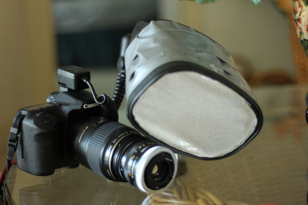 DIY Soft Boxes for Macro-Photography: Here ya go, just an idea.... I ...