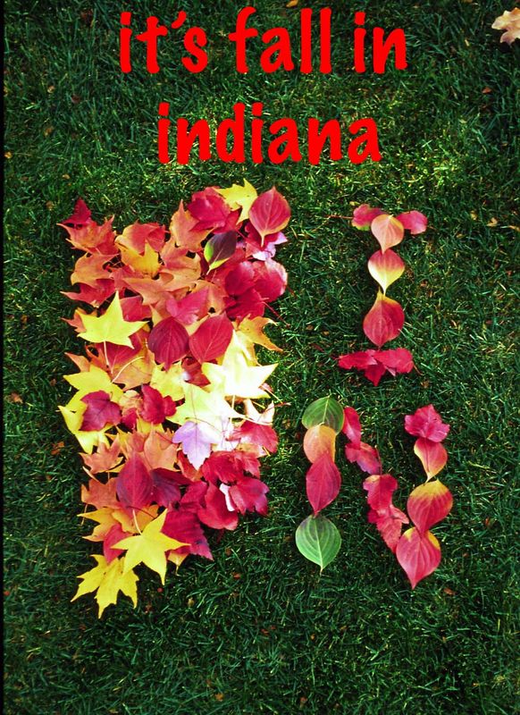 Crossroads of America: You guessed it: Indiana and it is that time of ...