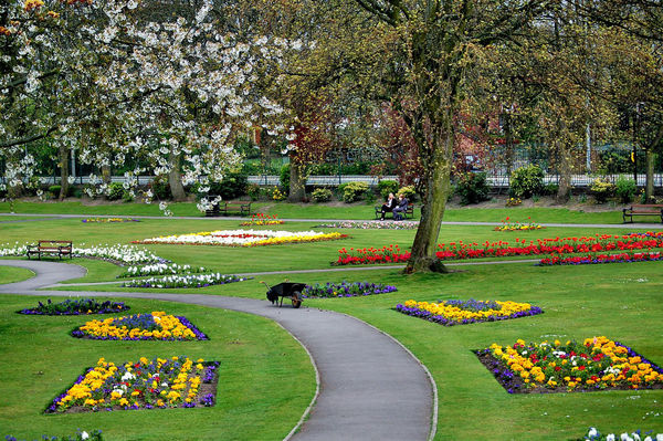 Beautiful small park: This park is Nr Wigan,it is located in Ashton-in ...