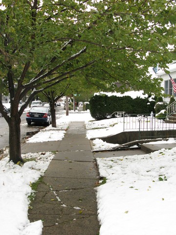 After Sandy Snow: What next?
