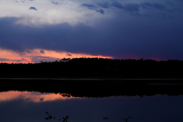 Sunset and Sunset Alligator: I went out this evening to see if I could ...