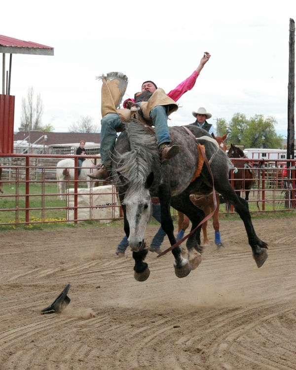 Bareback and Saddle Bronc Riders: A few Bronc Riders from a high school ...
