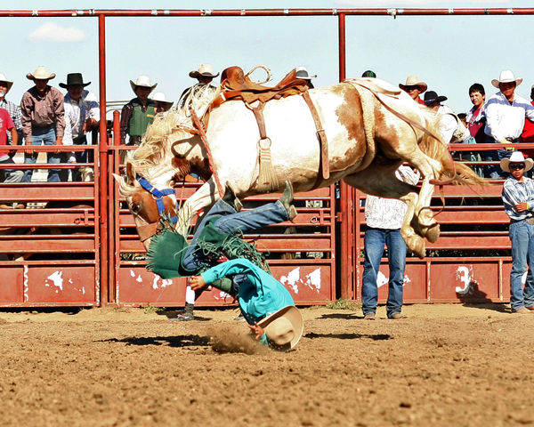 Rodeo Wrecks: A few shots that are pretty fun to look at, but the ...