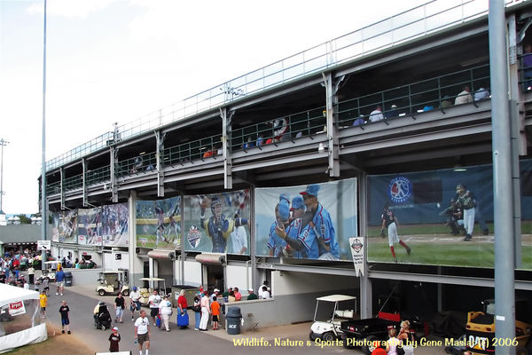 A Field of Dreams - Howard J. Lamade Stadium: All around the world ...