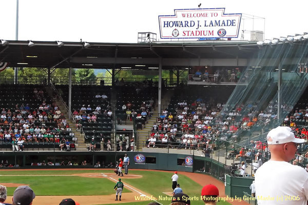 A Field of Dreams - Howard J. Lamade Stadium: All around the world ...