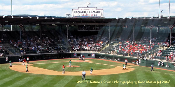 A Field of Dreams - Howard J. Lamade Stadium: All around the world ...