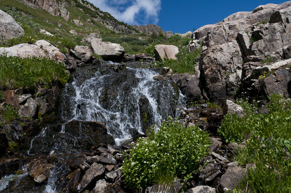 Crested Butte5: Here are a couple of images higher up Slate River ...