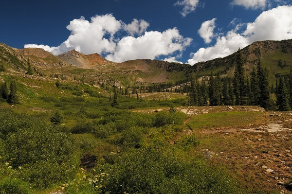 Crested Butte5: Here are a couple of images higher up Slate River ...