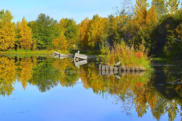 Alaska fall colors - set #3: The first photo is along side the road ...