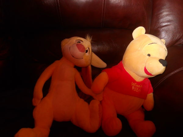 Can Anyone Recommend a good camera for 10 year old? Our granddaughter ...