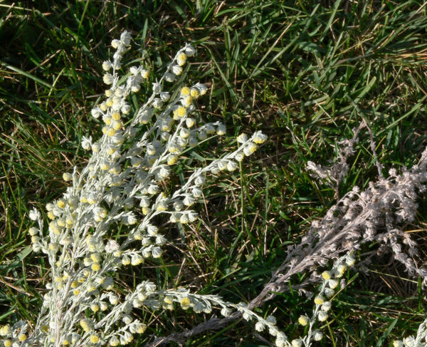 Suffern Lake Regional Park Aug 30: I was invited to spend a few days at ...