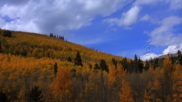Colorado Fall Colors: I went up to Breckenridge then then over Boreas ...