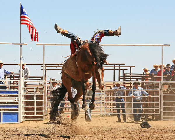 Random Rodeo shots: A few more shots that I liked.