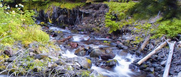 Linton Lake, Separation Creek - Mckenzie Pass, Oregon: These were taken ...