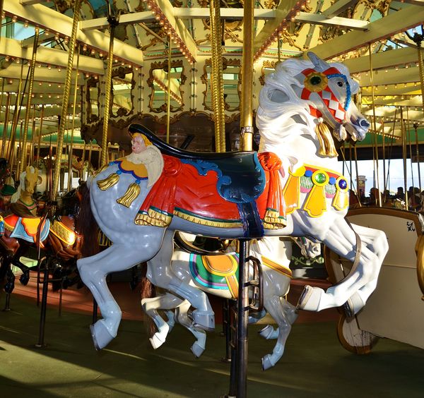 Santa Cruz Carousel Since 1911: Our Family has been riding this ...