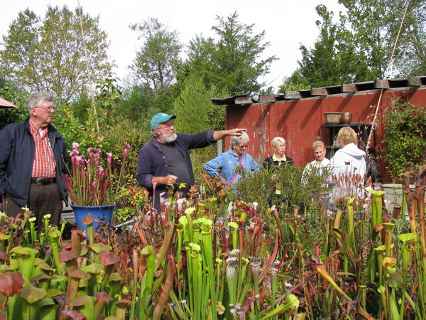 The Bogman: "Nestled in the Pinelands, the man-made bog in the village ...