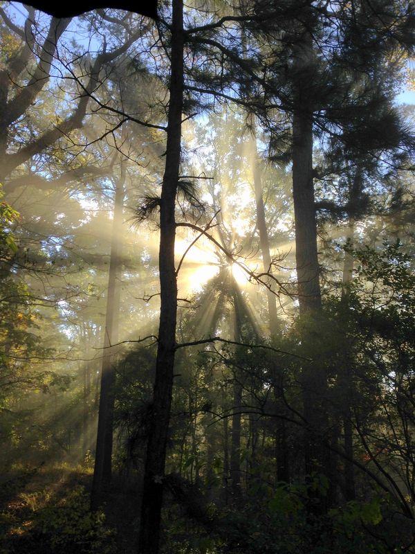 Morning Sun Rays: I only had my IPhone 5.