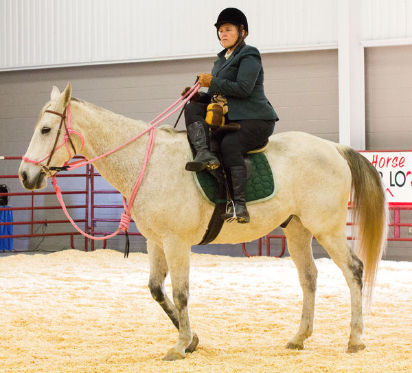 My first equine event: Here in Doswell Virginia we had the equine ...