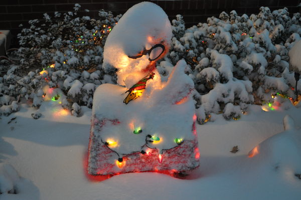 Snow in Erie: This is our first measurable snow. Must have around 5 ...