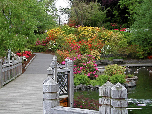 Northwest gardens: Some more pictures of the northwest.