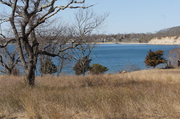 Mashomack Preserve, Shelter Island, NY: Mashomack Preserve is a ...