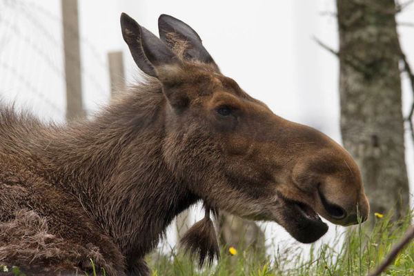 Visit to Nature Park: Some shots from a visit to a local nature park.