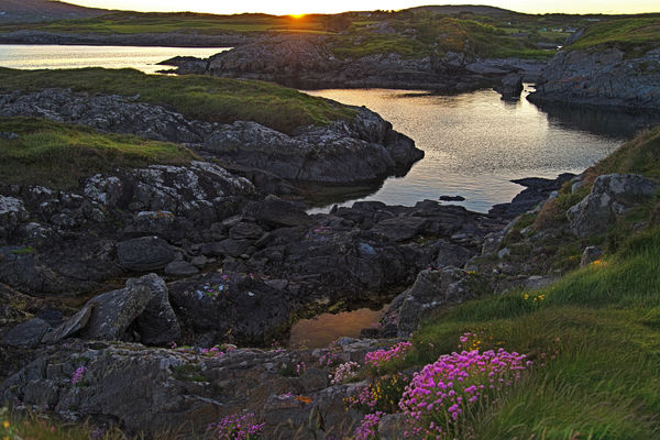 Beach Flower Sunset Schull, Ireland: Another Irish Sea Coast Sunset...