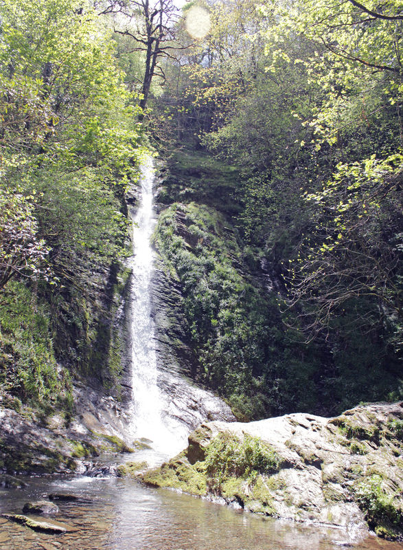 Lydford Gorge: I took these while walking round Lydford Gorge near ...
