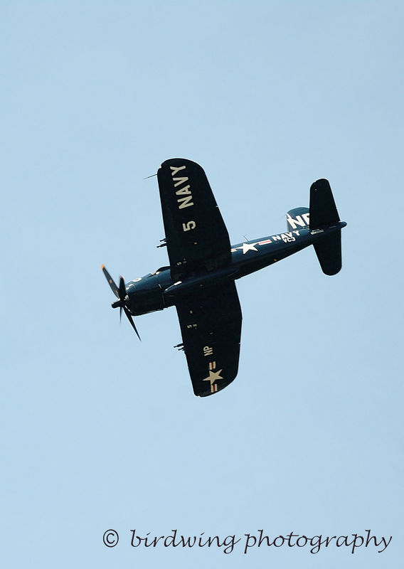 F4U Corsair - one of the most beautiful and multi-roled fighters of WWII.