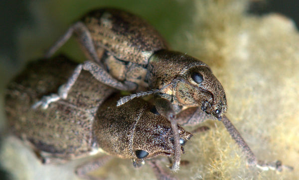 A Morning at Bixby Marshland Preserve: Bixby Marshland is a preserved ...