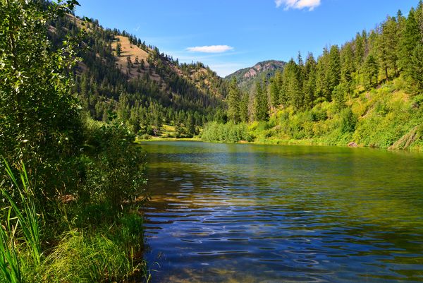 On your mark. Get ready: Fish.