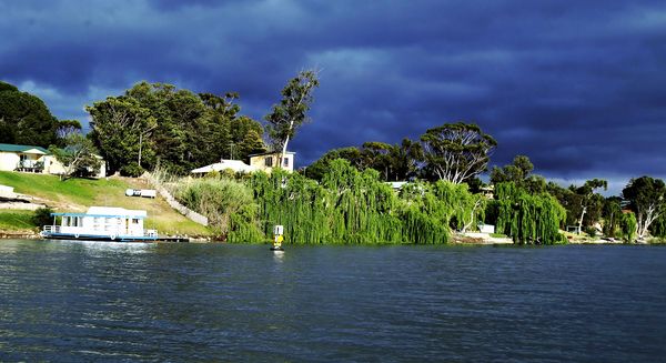 River Murray South Australia: The river bank at the township of ...