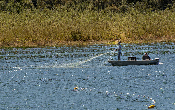 Fishing on the Klamath River at the Mouth of the Ocean: Taken aug 17 ...