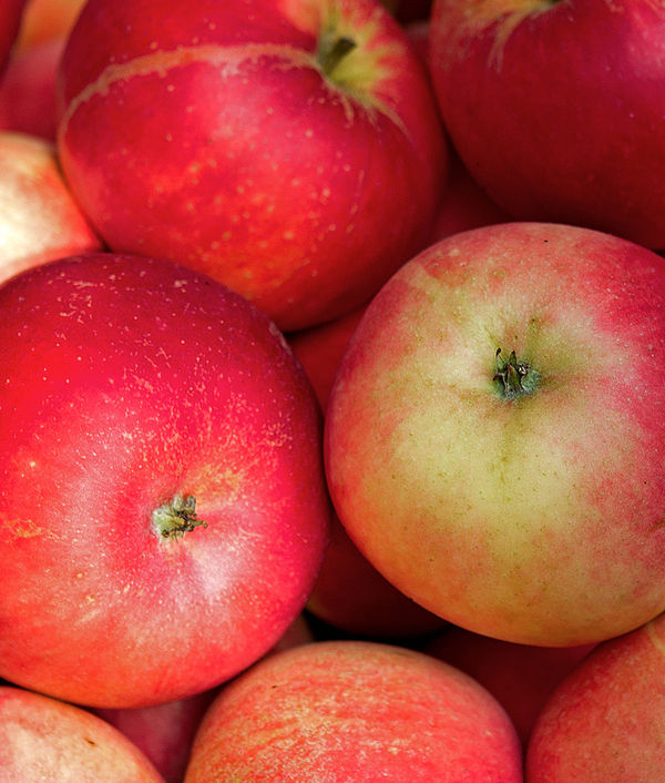 English eating apples: English eating apples...