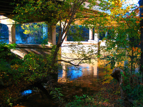 Tennessee in the fall: These were taken a couple of years ago, but I am ...