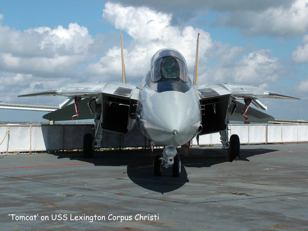 'Tomcat': A Grumman F14 'Tomcat' on the Deck of the USS Lexington at ...