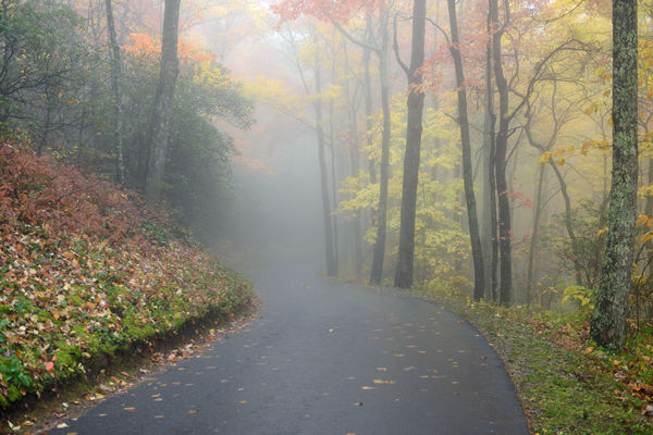 Great Smoky Mountains National Park: Roaring Fork Motor Nature Trail ...