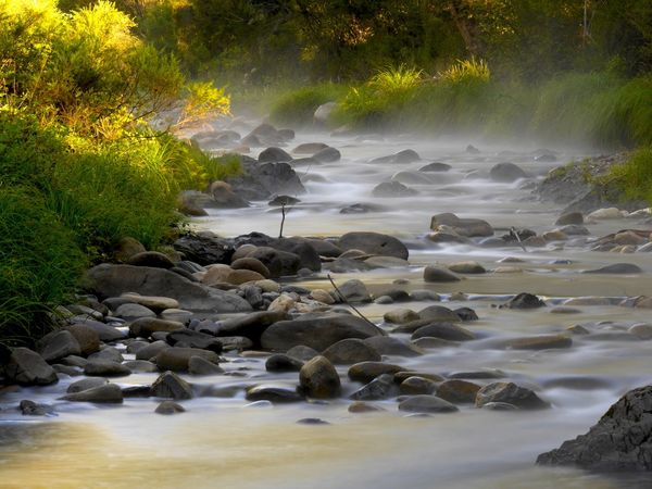 Beauty in the Highlands: Victorian Highlands / Australia...