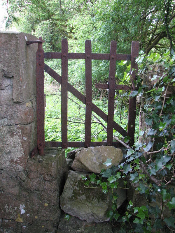 Great Grandfather's gates, Ireland: These two beautiful old gates ...