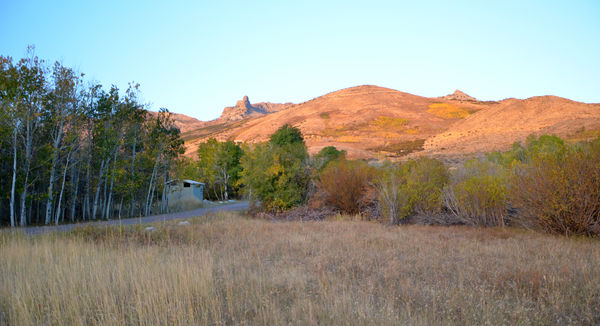 Angel Creek Area - Fall in Northern Nevada: Here are a few shots of ...