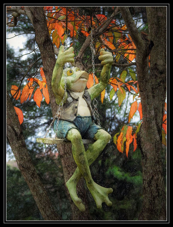 A Rare Sighting - North Carolina Green Tree Frog: ....... in it's ...