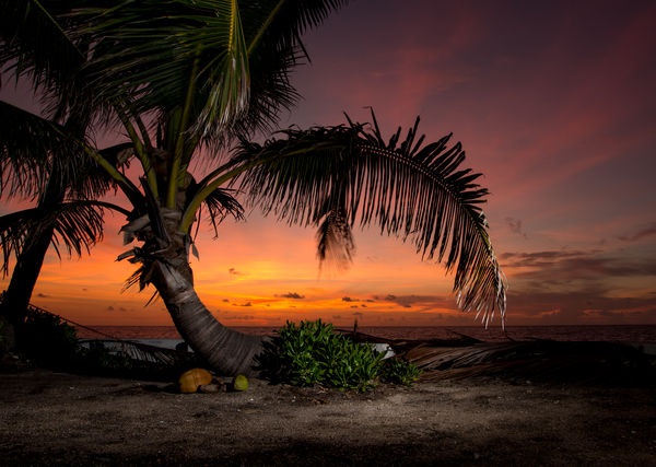 Another beautiful morning in south Florida: My favorite spot for coffee.