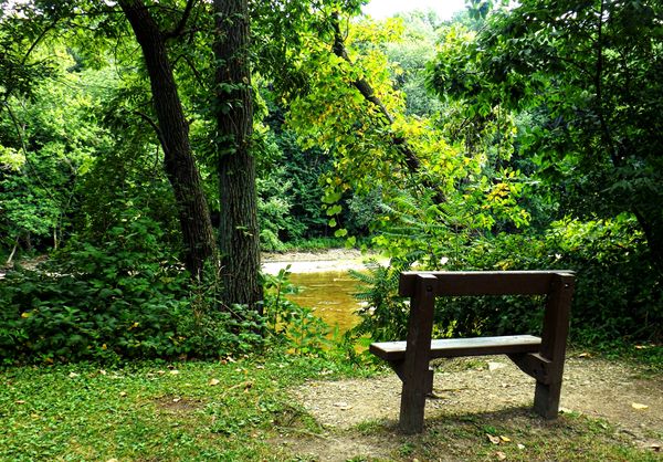 Sit -Enjoy Nature: on these benches.