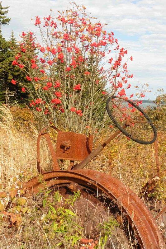 Forgotten Tractors: I found this noble old tractor slowly sinking into ...