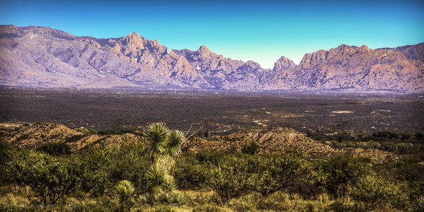 First try with Zone System Express: What do you think maybe to much ...