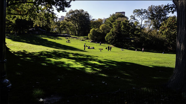 Manhattan - More From Central Park.. Here are a few more shots I took ...
