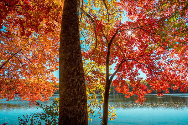 Fall Color photos taken previously: Due to my ankle injury, I could not ...